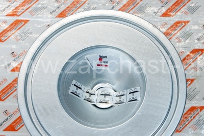 AF4838 Воздушный фильтр Fleetguard